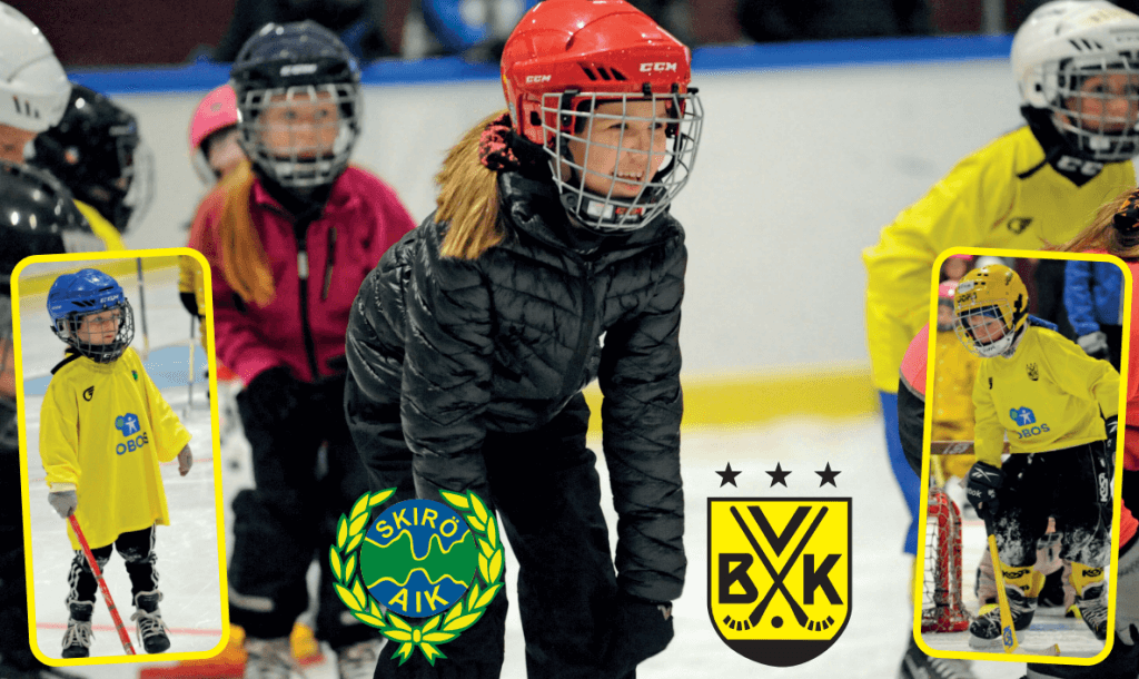 Vetlanda BK - Kom och prova bandy i Bandykul!